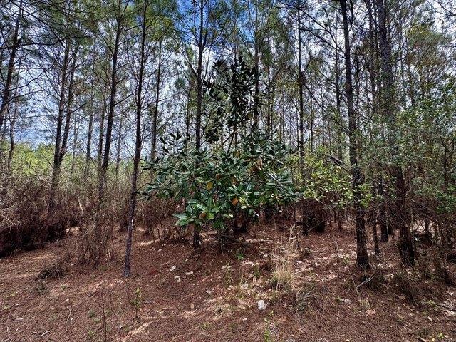Vacant Sw Captain Brown Rd, Madison, FL 32340