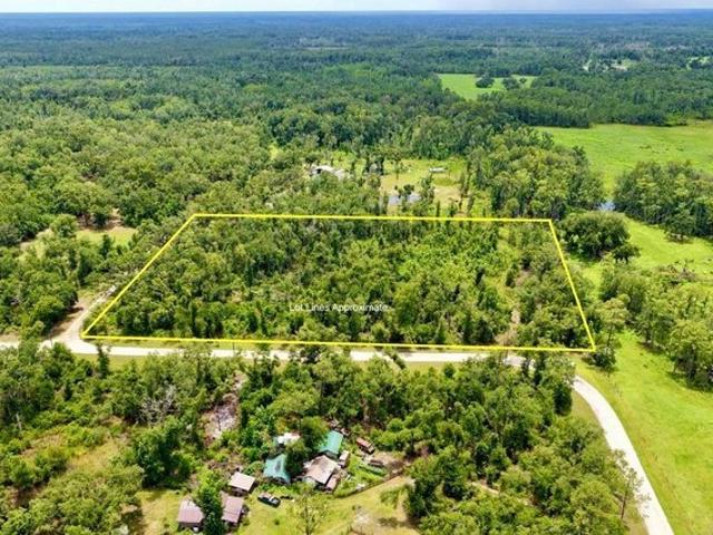 SW Hopewell Farms Rd, Madison, FL 32340