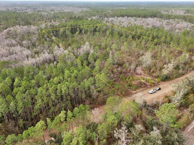 Vacant Sw Ontario Rd, Greenville, FL 32331