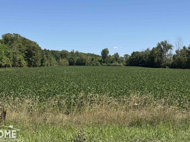 Vacant Webster Rds, Mount Morris, MI 48458