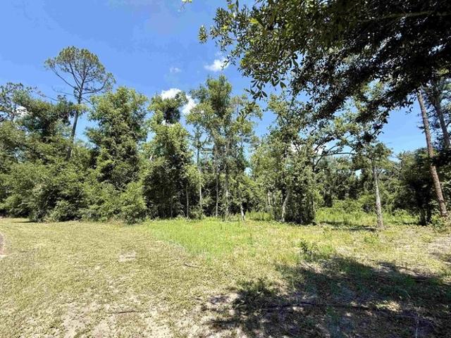Vacant Wildwood Cir, Live Oak, FL 32064