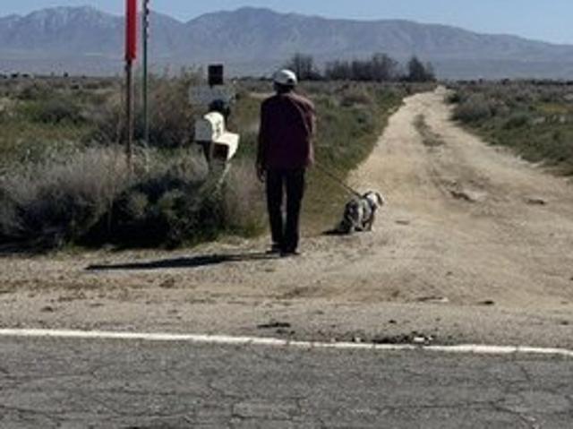 Vac/Cor, Palmdale, CA 93591