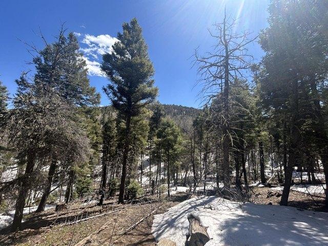 Vail Loop Lot 369, Angel Fire, NM 87710