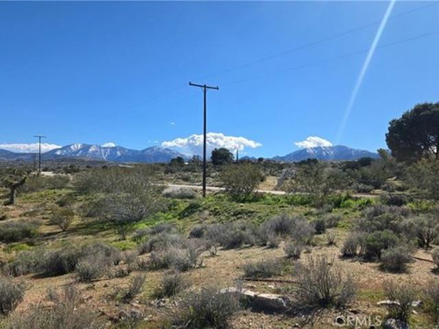 Valyermo Rd, Pearblossom, CA 93553