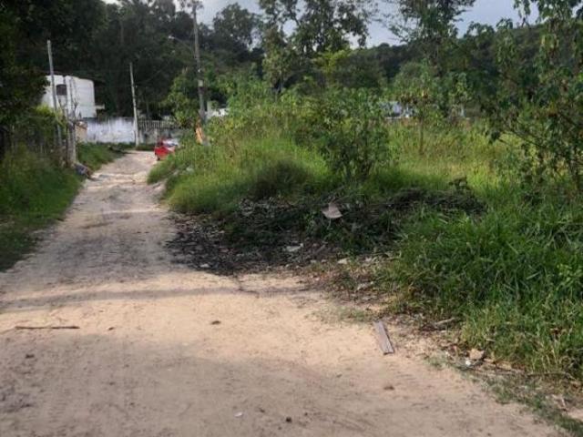 vale das acacias LOTE 40