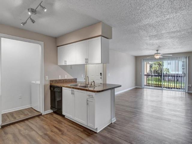 Valencia at Westchase 1 Bedroom Apartment for Rent at 8802 Brennan Cir, Tampa, FL 33615