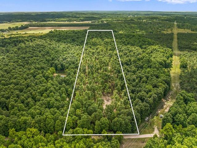 Valencourt Rd, Copemish, MI 49625