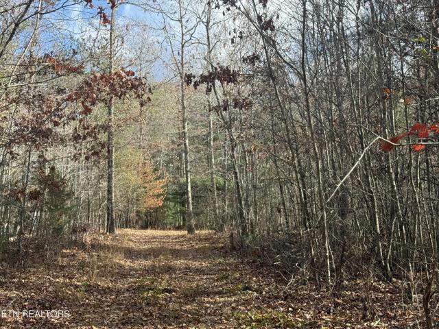 Valerie Drive 10.77 acres Drive, Deer Lodge, TN 37726