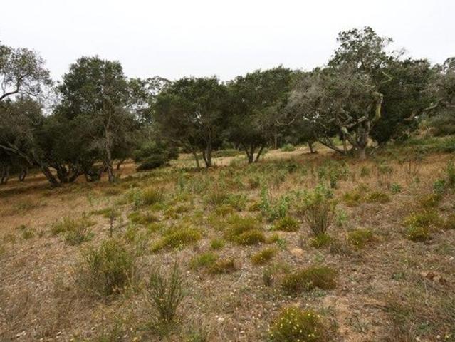 Valle Pacifico, Salinas, CA 93907