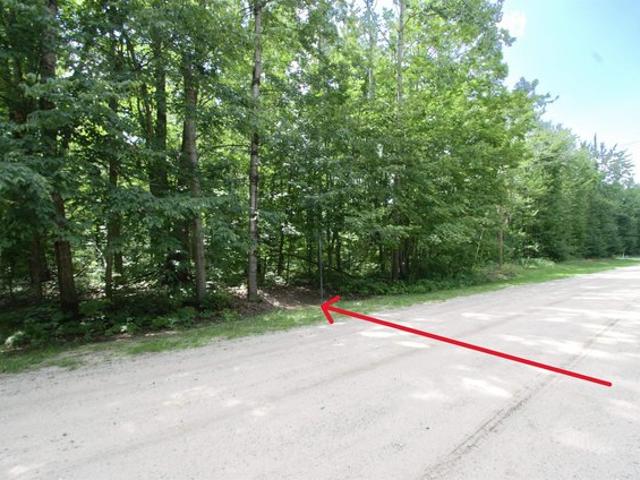 Valleyview Dr, Mancelona, MI 49730