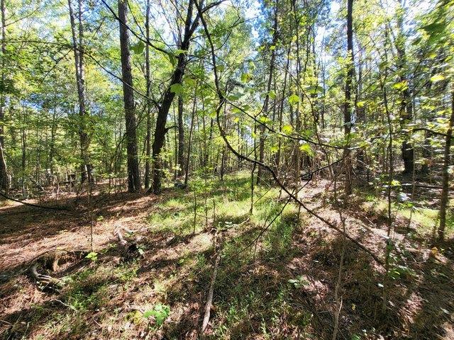 Valley Ct, Crossville, TN 38572