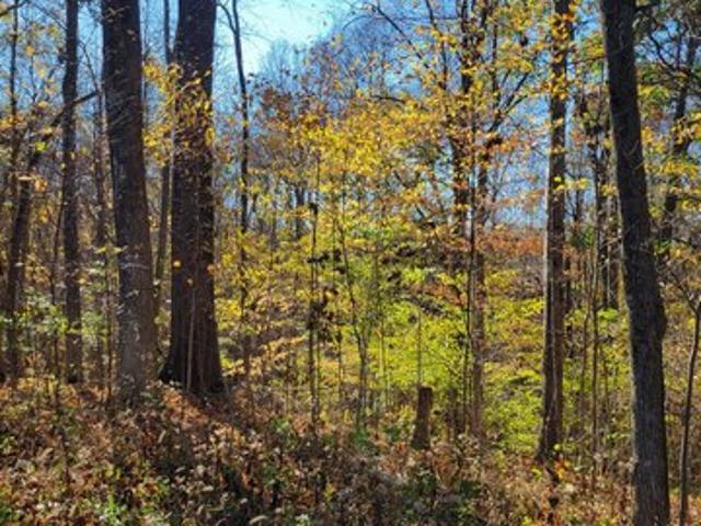 Valley Dr, Greencastle, IN 46135