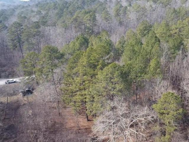 Valley Dr Lots 43 & 44, Houston, AL 35572