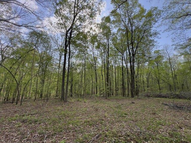 Valley Rd, Fairview, TN 37062