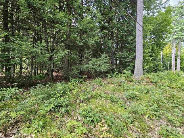 Valley Rd, Haverhill, NH 03765
