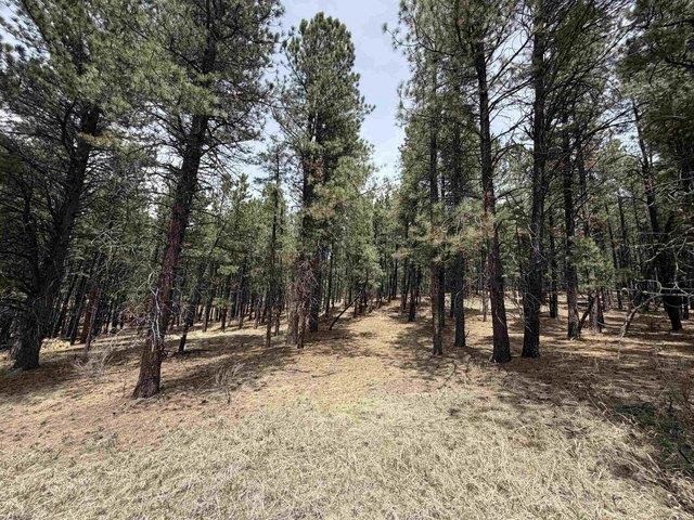 Valley Rd Lot 22, Angel Fire, NM 87710