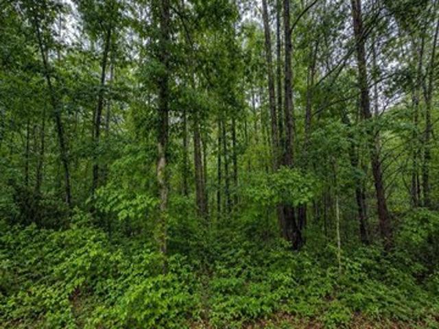 Valley Rd, Travelers Rest, SC 29690