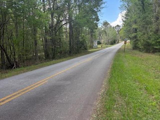 Valley Rescue Mission Rd Lot 203, Hamilton, GA 31811