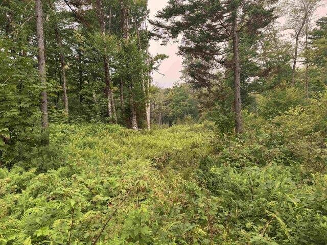 Valley View Rd, Dover, Plot For Sale