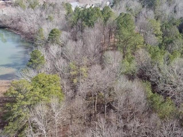 Valley View Rd Lot 29, Houston, AL 35572