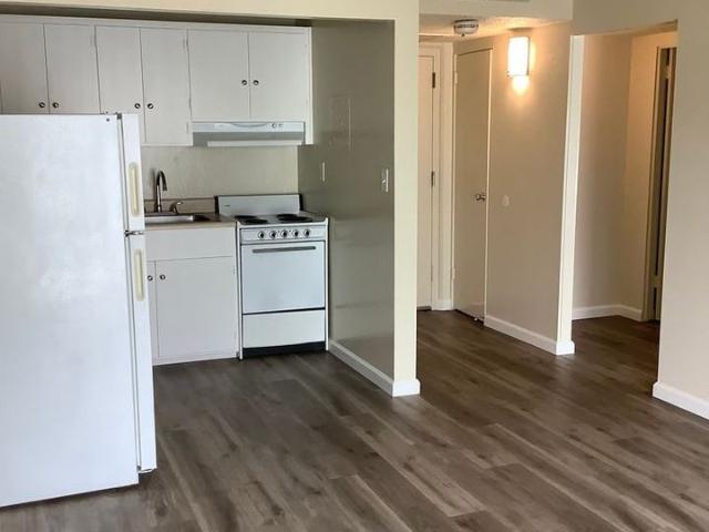 Valley Village 1 Bedroom Apartment for Rent at 390 N Winchester Blvd, Santa Clara, CA 95050