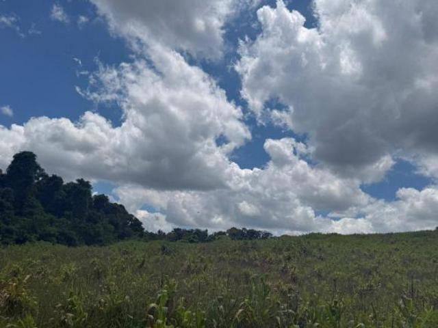 Valorização, localização e exclusividade em um só lugar