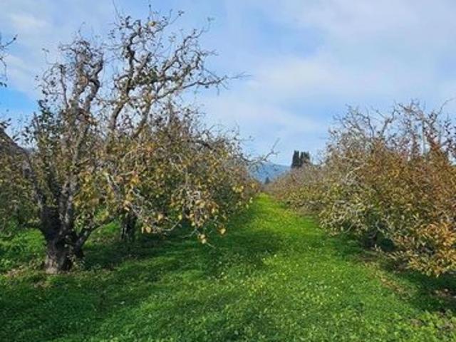 Varni Rd, Corralitos, CA 95076