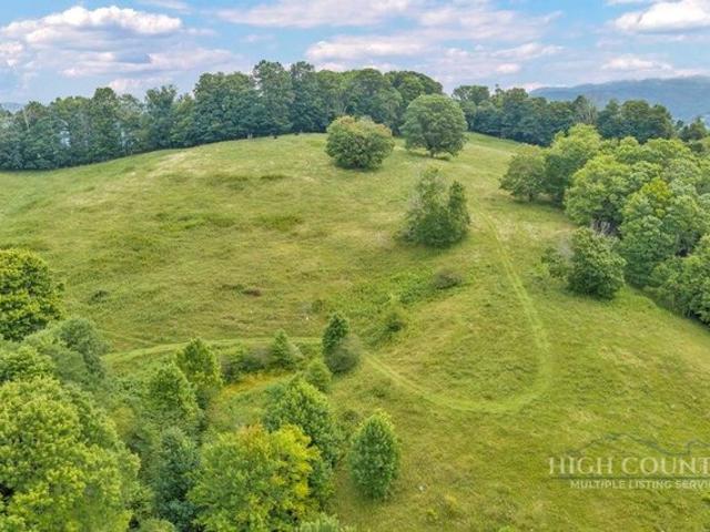 Vaughn Potter Rd, Zionville, NC 28698