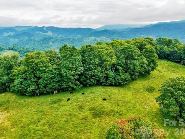 Vaughn Potter Rd, Zionville, NC 28698