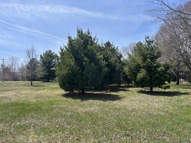 Vaughn Trl Lot 30, Oscoda, MI 48750