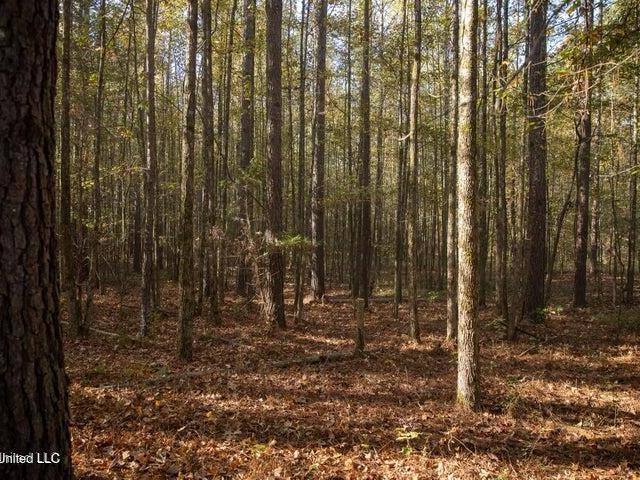 Vaughan Rd Road, Vaughan, MS 39179