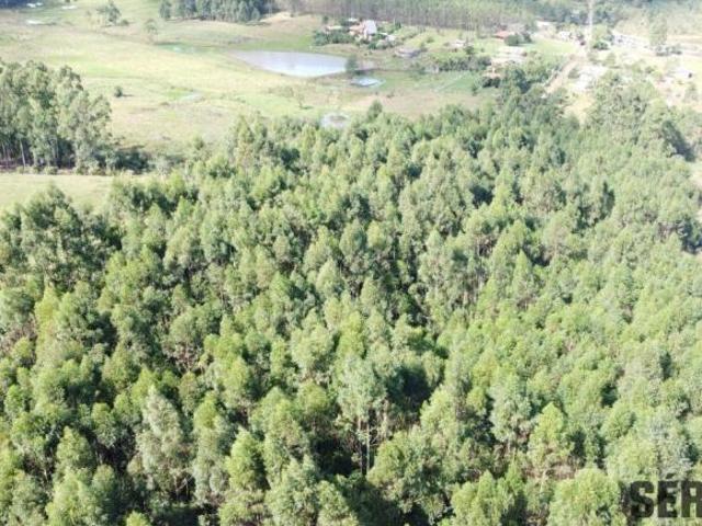 VENDA 2 HA DE TERRA A 1,3 KM DO ASFALTO EM TRIUNFO RS