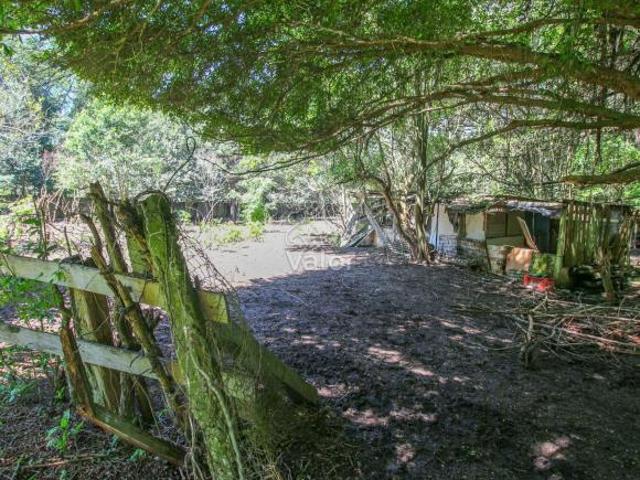 Venda TERRENO CURITIBA PR Brasil