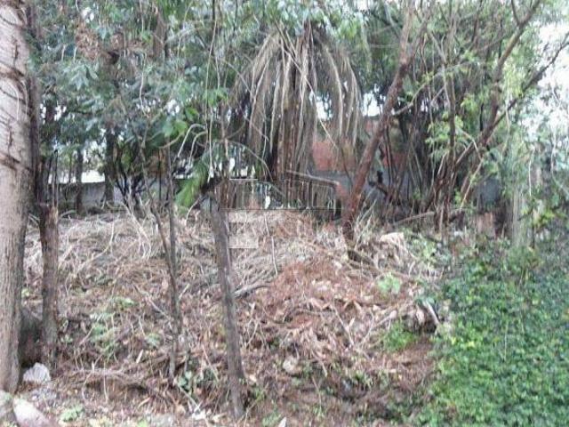 Venda Terreno Carapicuíba Nova Fazendinha