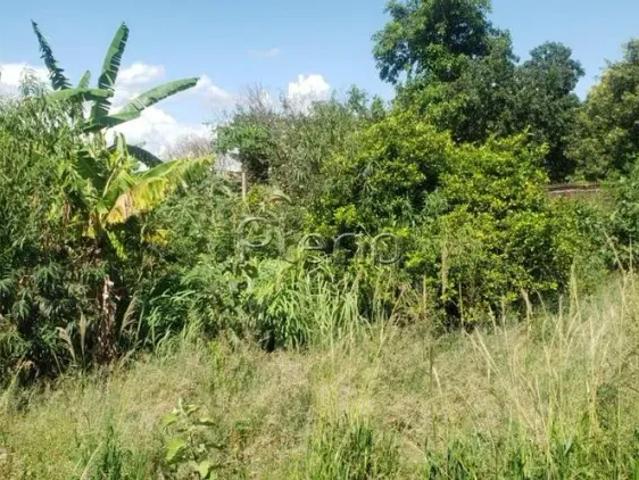 Venda | Terreno com 1.000,00 metroQuadrado. Chácara Primavera, Campinas