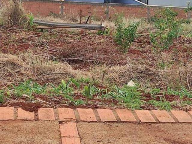 VENDA | Terreno, com 3 dormitórios em Jardim Coopagro, Toledo