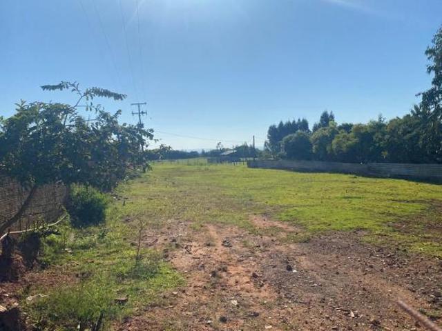 VENDA | Terreno, com 3 dormitórios em Jardim São Domingos, Maringá