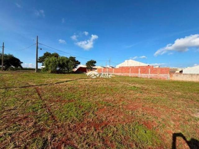 VENDA | Terreno, em Centro, Floresta