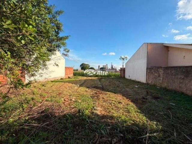 VENDA | Terreno, em Centro, Floresta