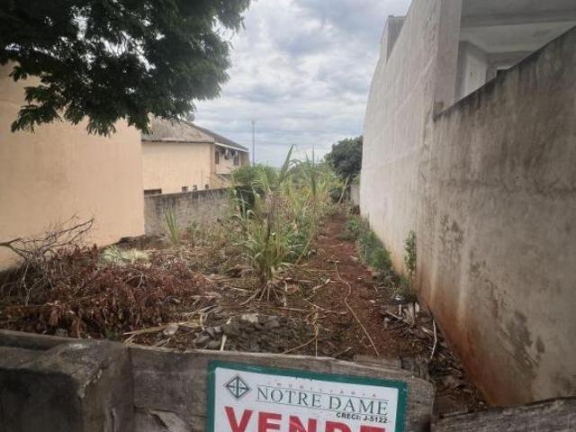 VENDA | Terreno, em Centro, Marialva