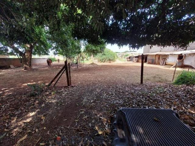 VENDA | Terreno, em Centro, Marialva