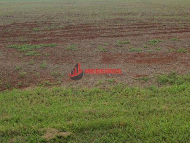 VENDA | Terreno, em Gleba Ribeirão Pinguim, Maringá
