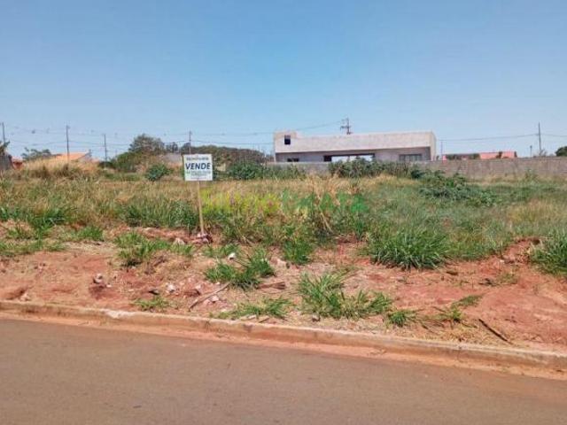 VENDA | Terreno, em Iguaraçu, Astorga