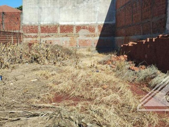 VENDA | Terreno, em Jardim Presidente, Marialva