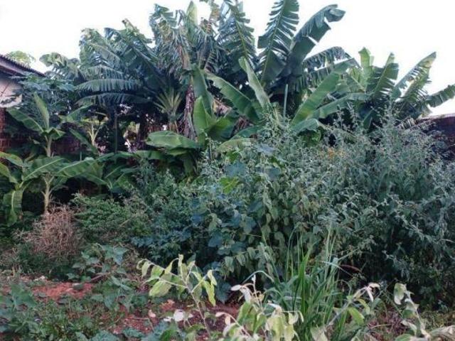 VENDA | Terreno, em Residencial Fazenda Simone, Paranavaí