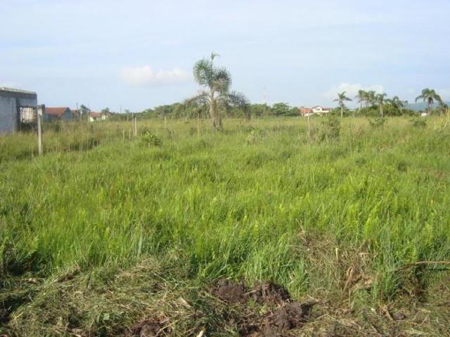 VENDA TERRENO JURÉIA / Iguape/SP