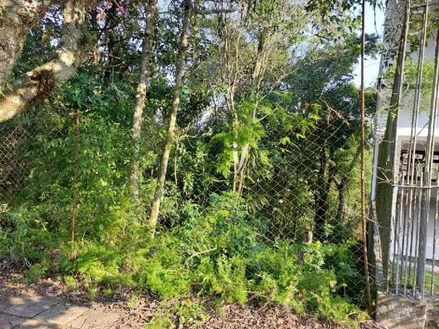 Venda terreno porto alegre rs brasil
