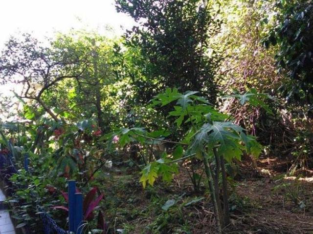 VENDA TERRENO PQ SANTO ANTONIO