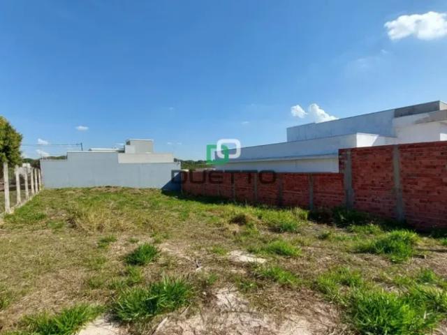Venda Terreno Residencial Dona Margarida Santa Bárbara D'Oeste SP