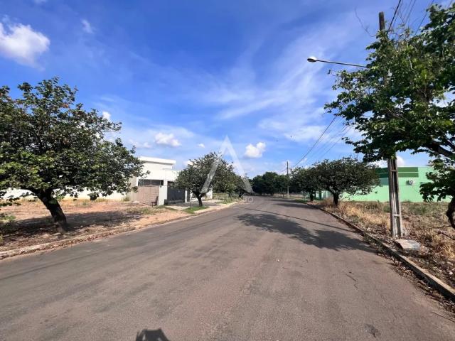 Venda, terreno residencial ipanema, sinop